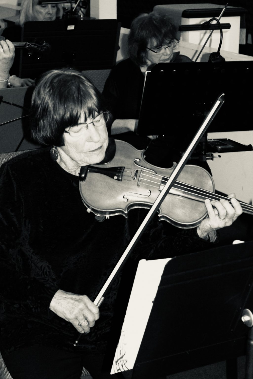 Members – Saltwater Chamber Orchestra